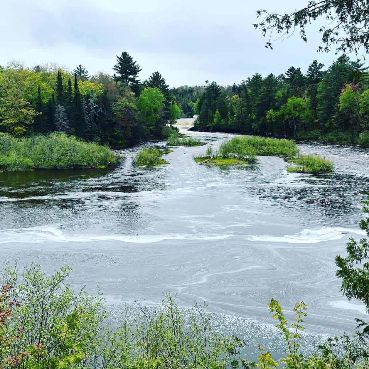 On Creativity + Innovation: Inspirational Quotes - Jodie Randolph